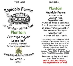 Plantain – loose leaf Big Box | Kapidolo Farms
